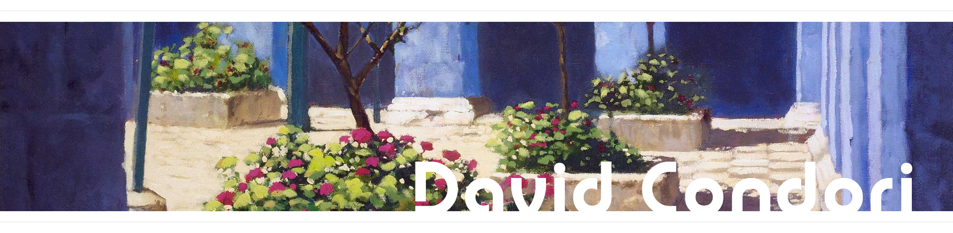 About David Condori by art evolution