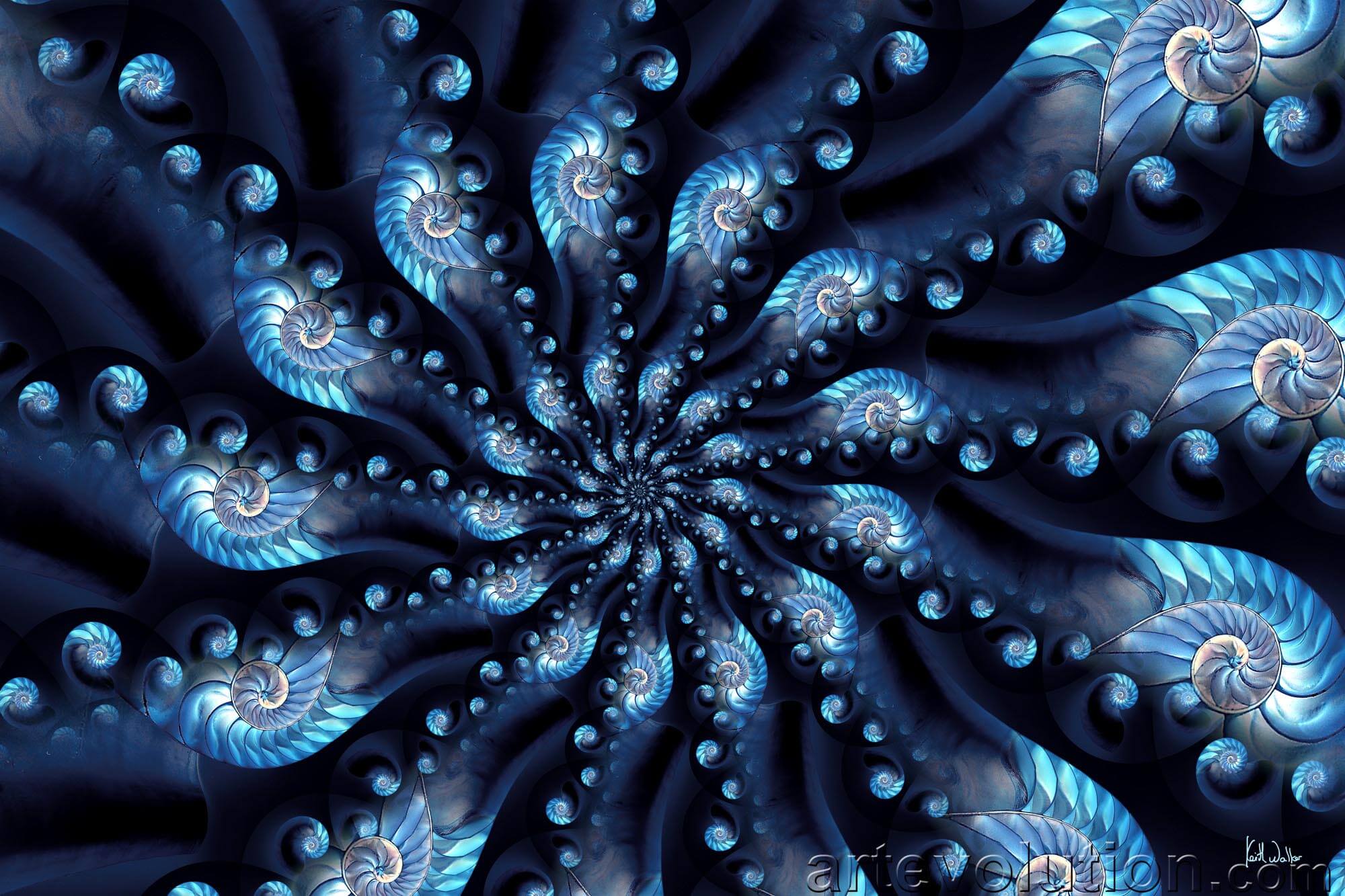 Birth of Consciousness by Keith Walker