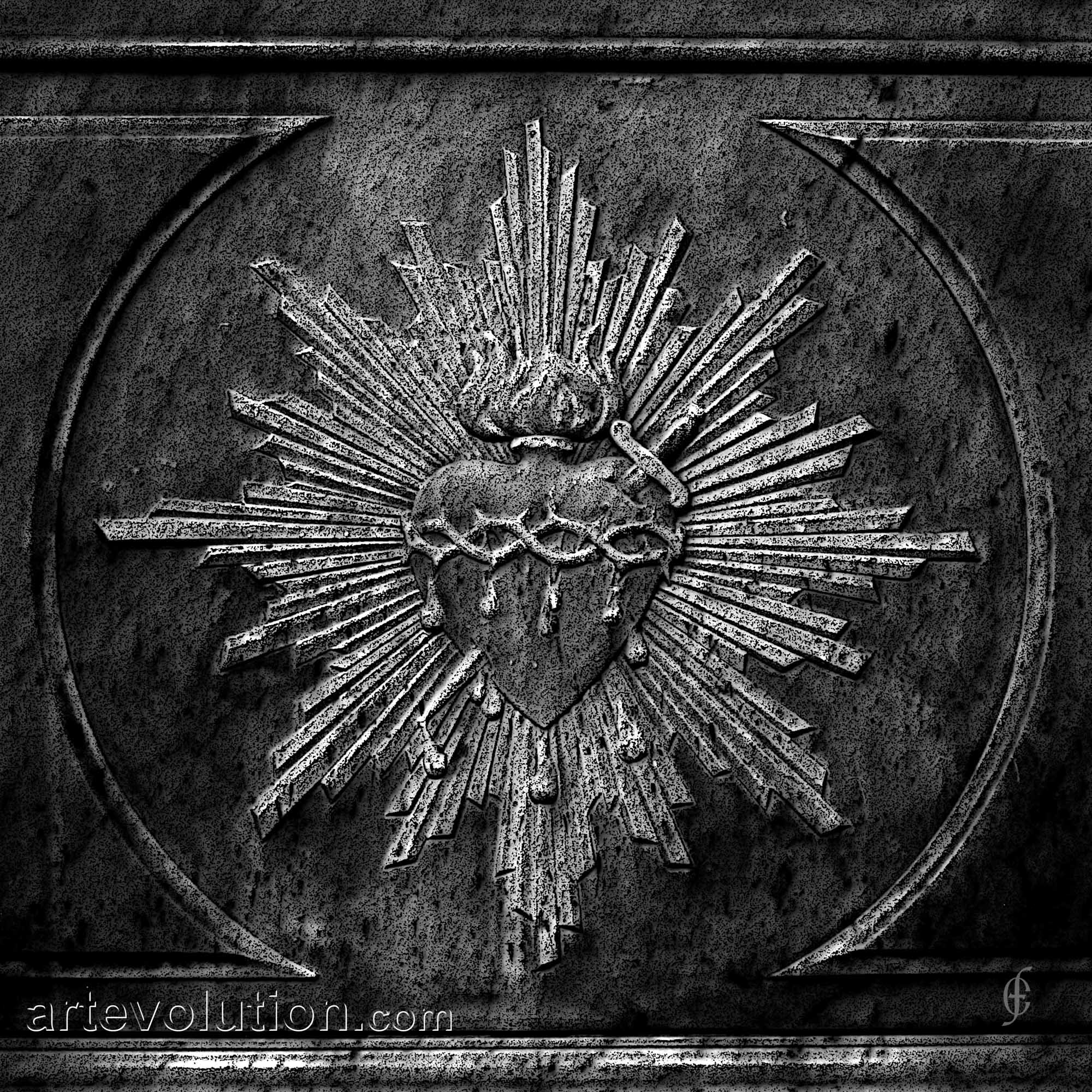 Bleeding Heart by Christopher Francis