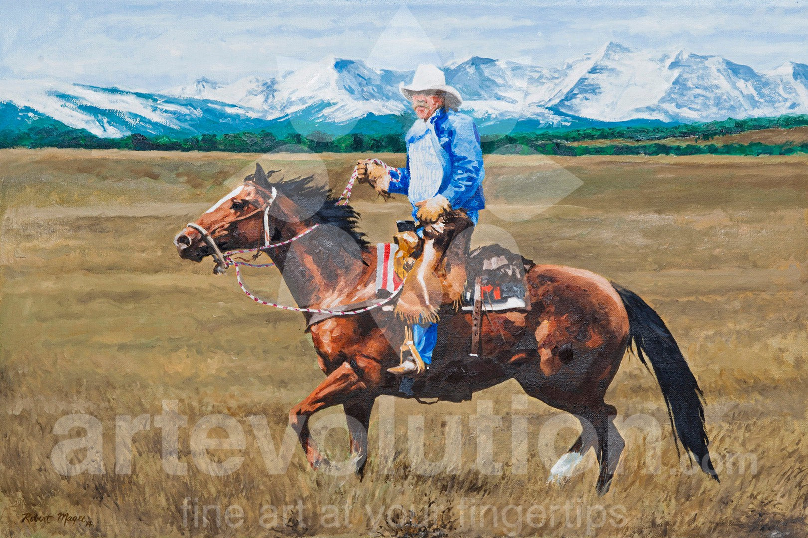 OH Country by Robert Magee