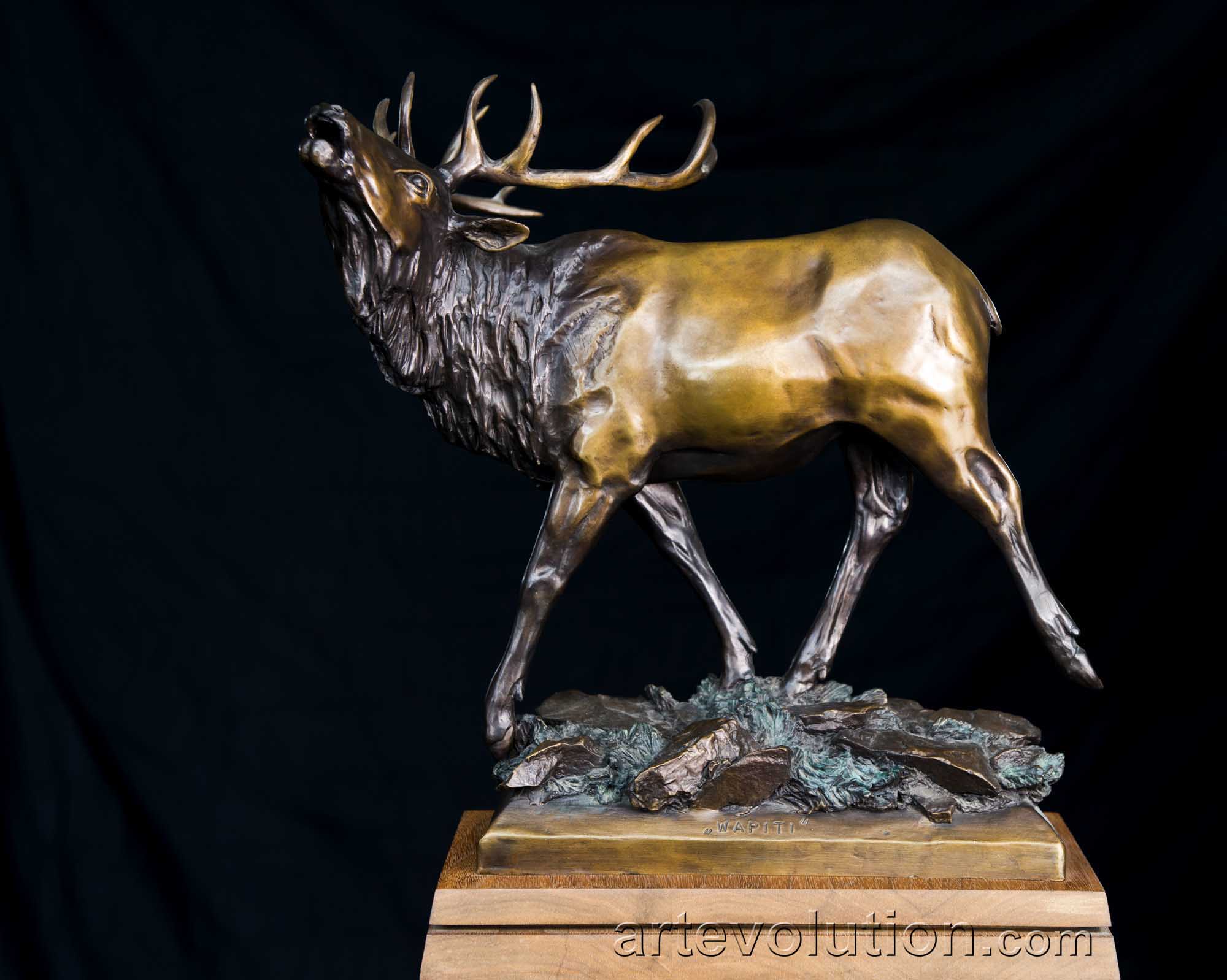 Wapati by Vilem Zach